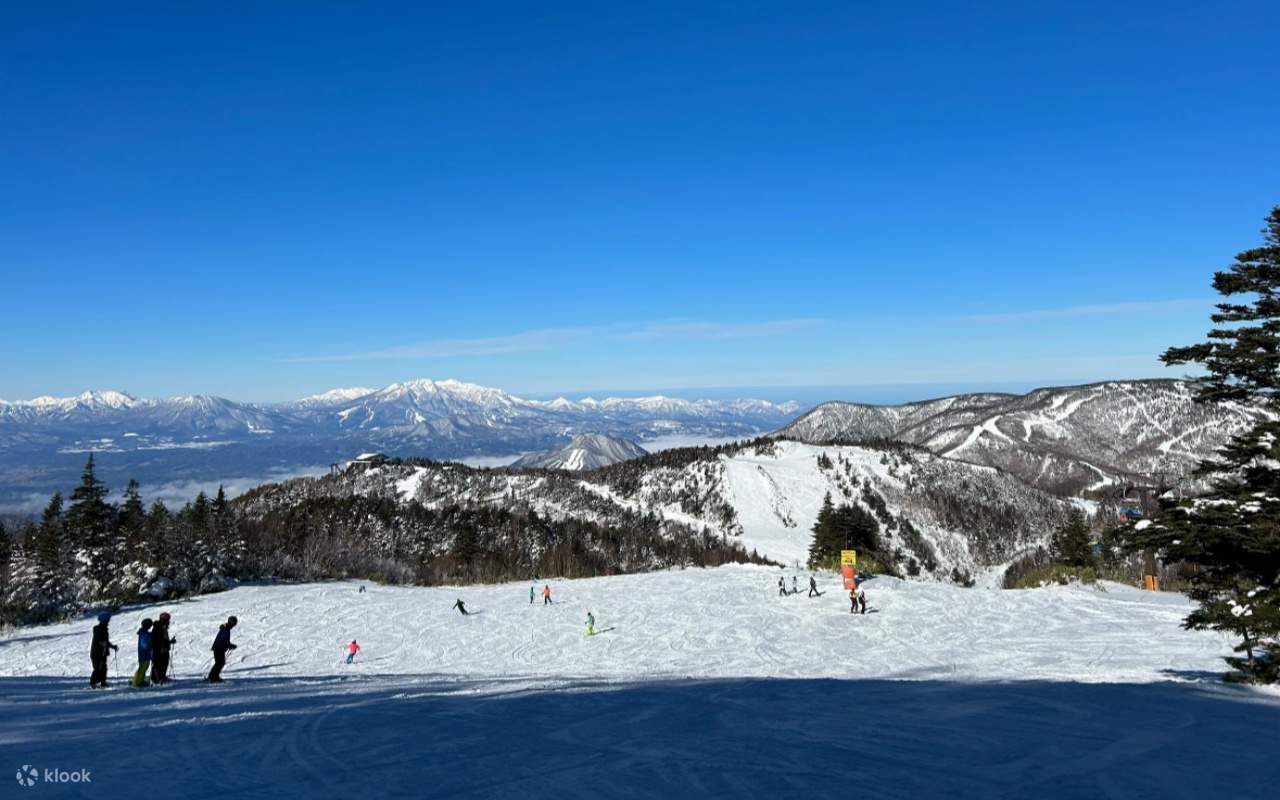 [Winter Skiing Only] Nagano Snow Monkey Park + Shiga Kogen 2-Day Skiing ...